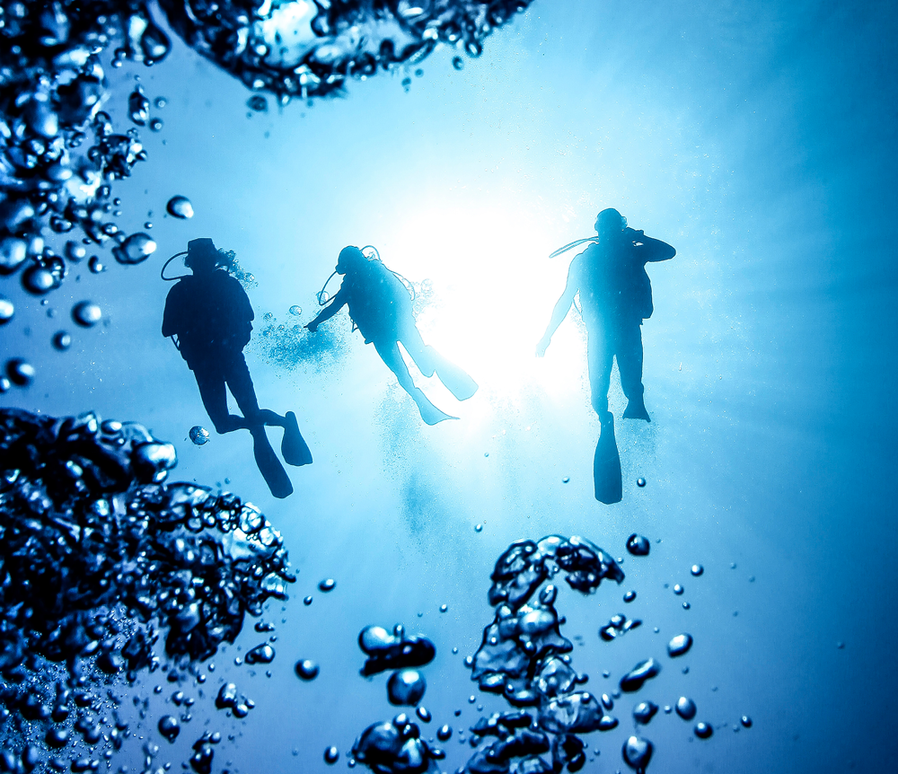 Dive, Search & Rescue - Interspiro US